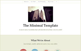 New Minimal Template & URL Structure - Building Your Website - Strikingly