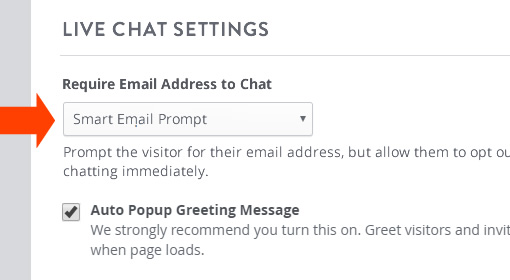 Live Chat: Email Not Needed - Updates - Strikingly