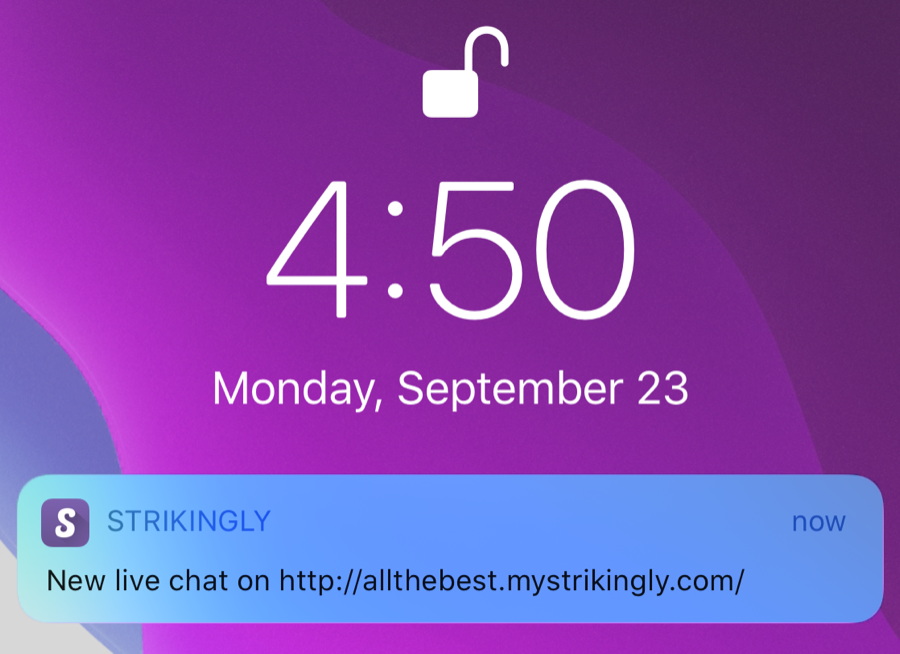 Improved Live Chat Notifications - Updates - Strikingly