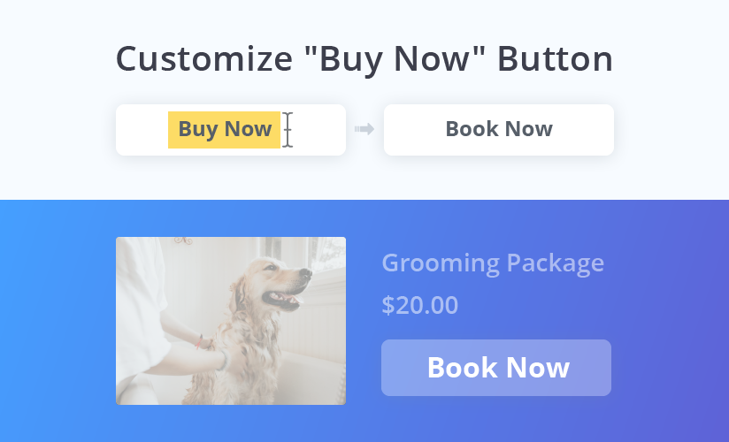 Customize "Buy Now" Button - Updates - Strikingly