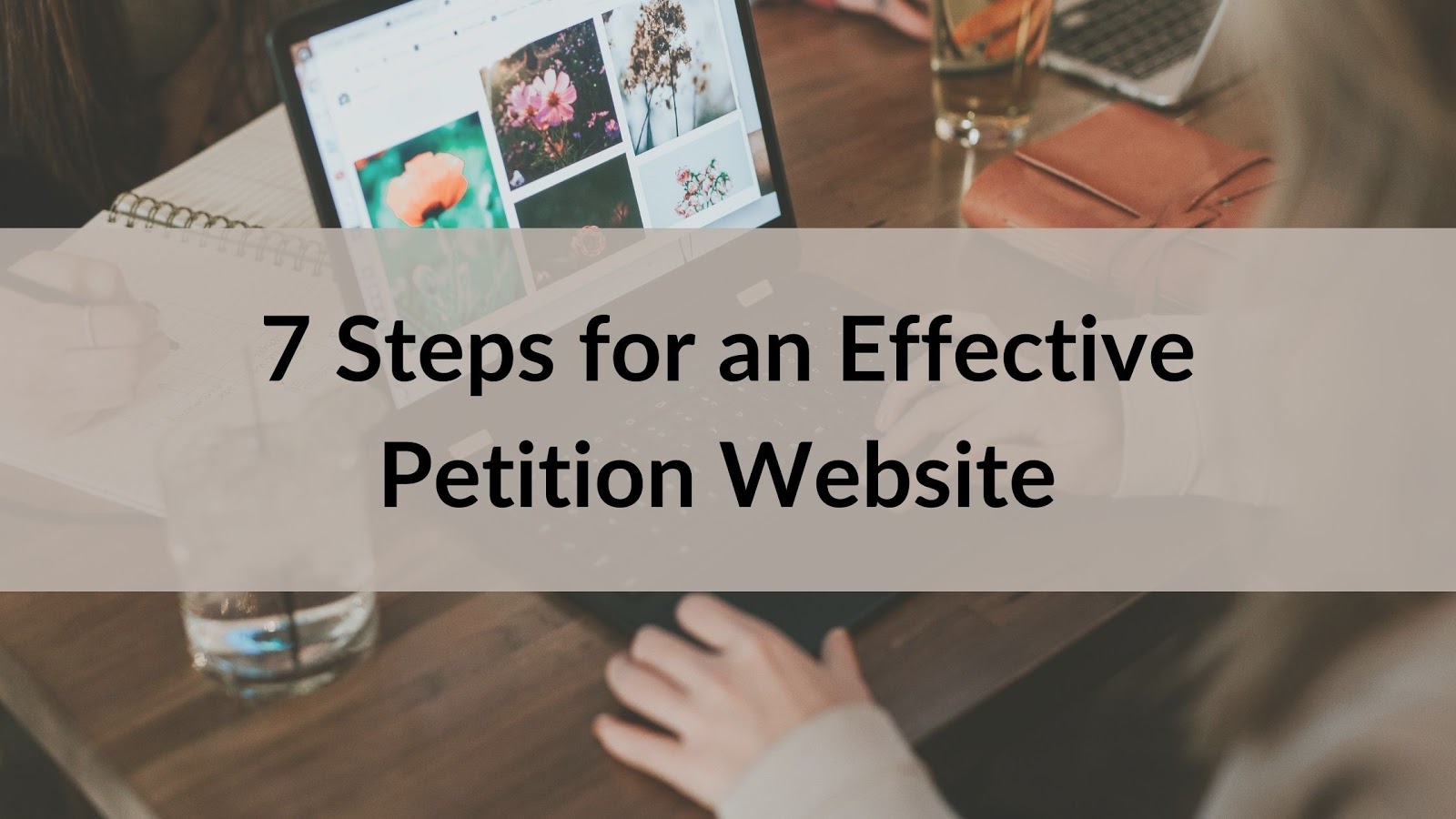 7 Steps for an Effective Petition Website - Building Your Website ...