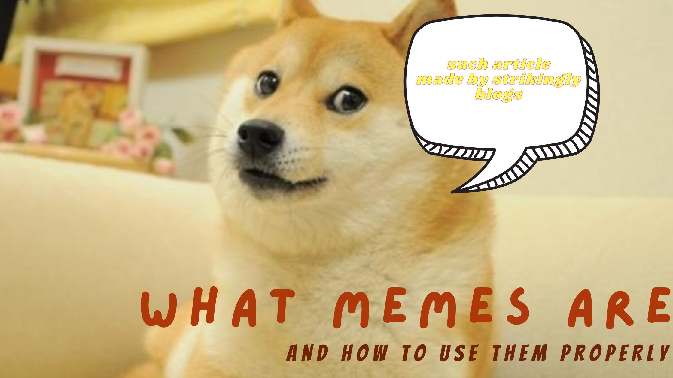 What Memes are and How to Use Them Properly - Building Your Website ...