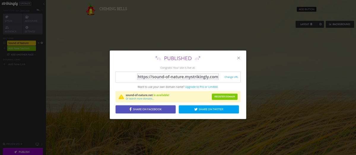How to Captivate Your Audience with a Splash Page Website - Building ...