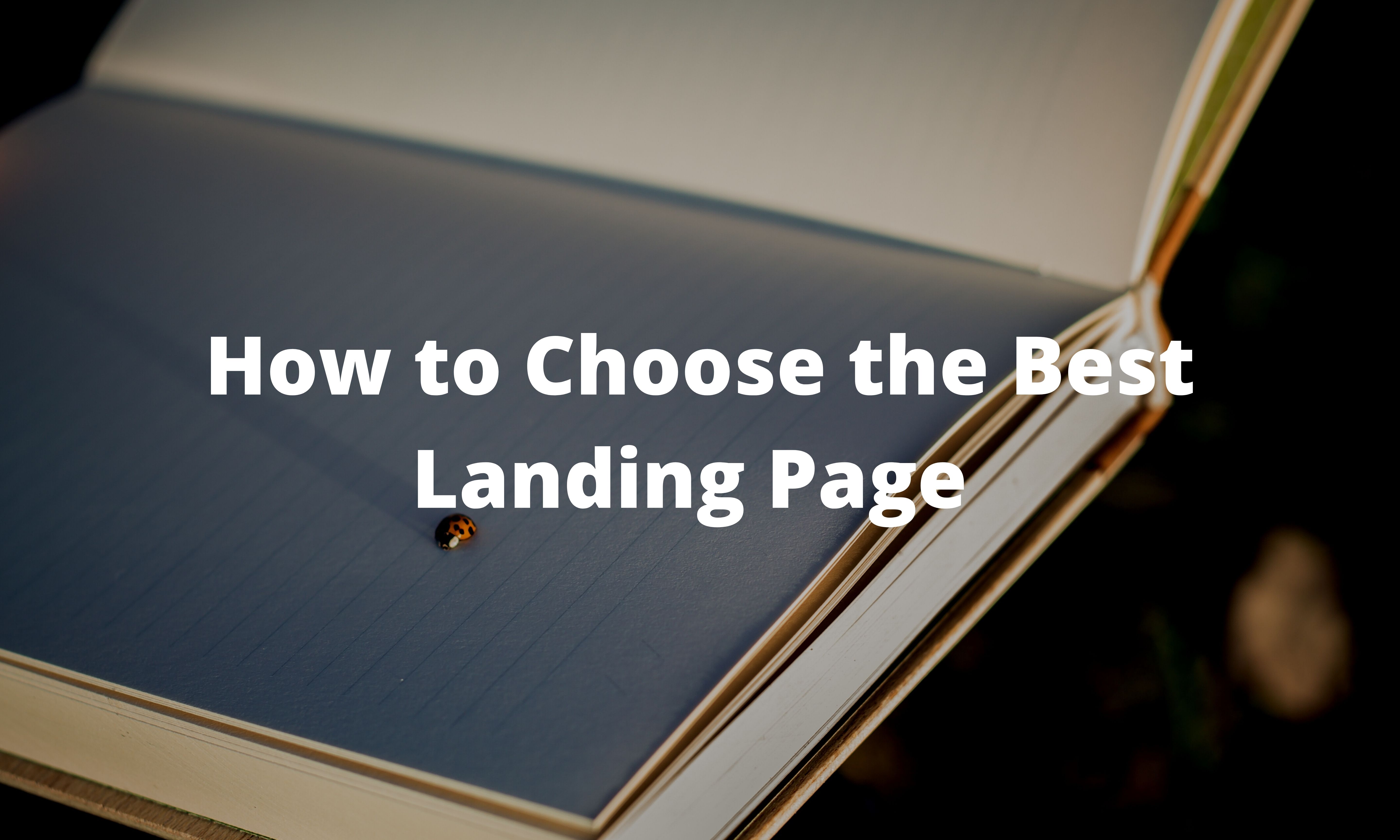 5 Best Landing Page Builders To Get You More Leads - Building Your ...
