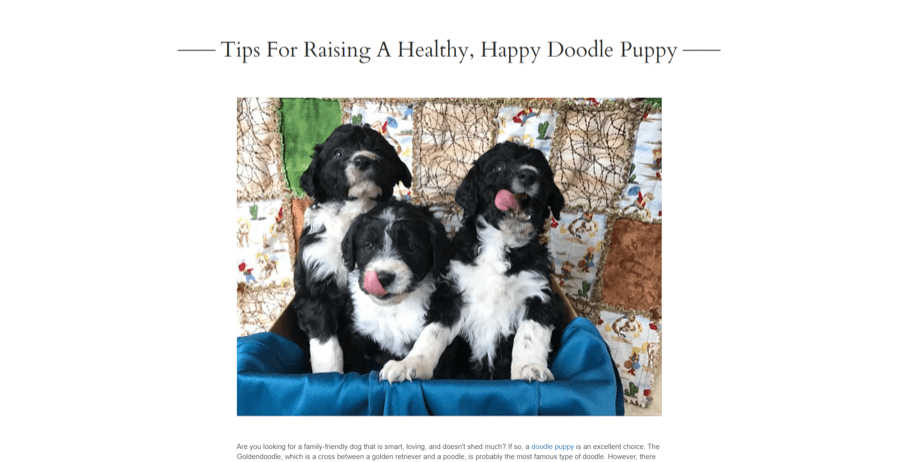 Dog Websites - The Perfect Medium to Share Your Love for Furry Friends ...