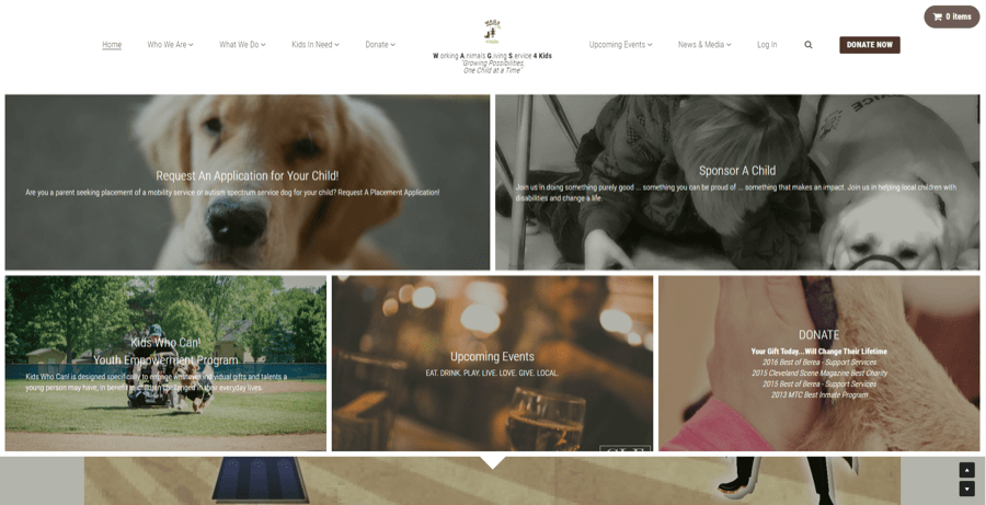 Dog Websites - The Perfect Medium to Share Your Love for Furry Friends ...
