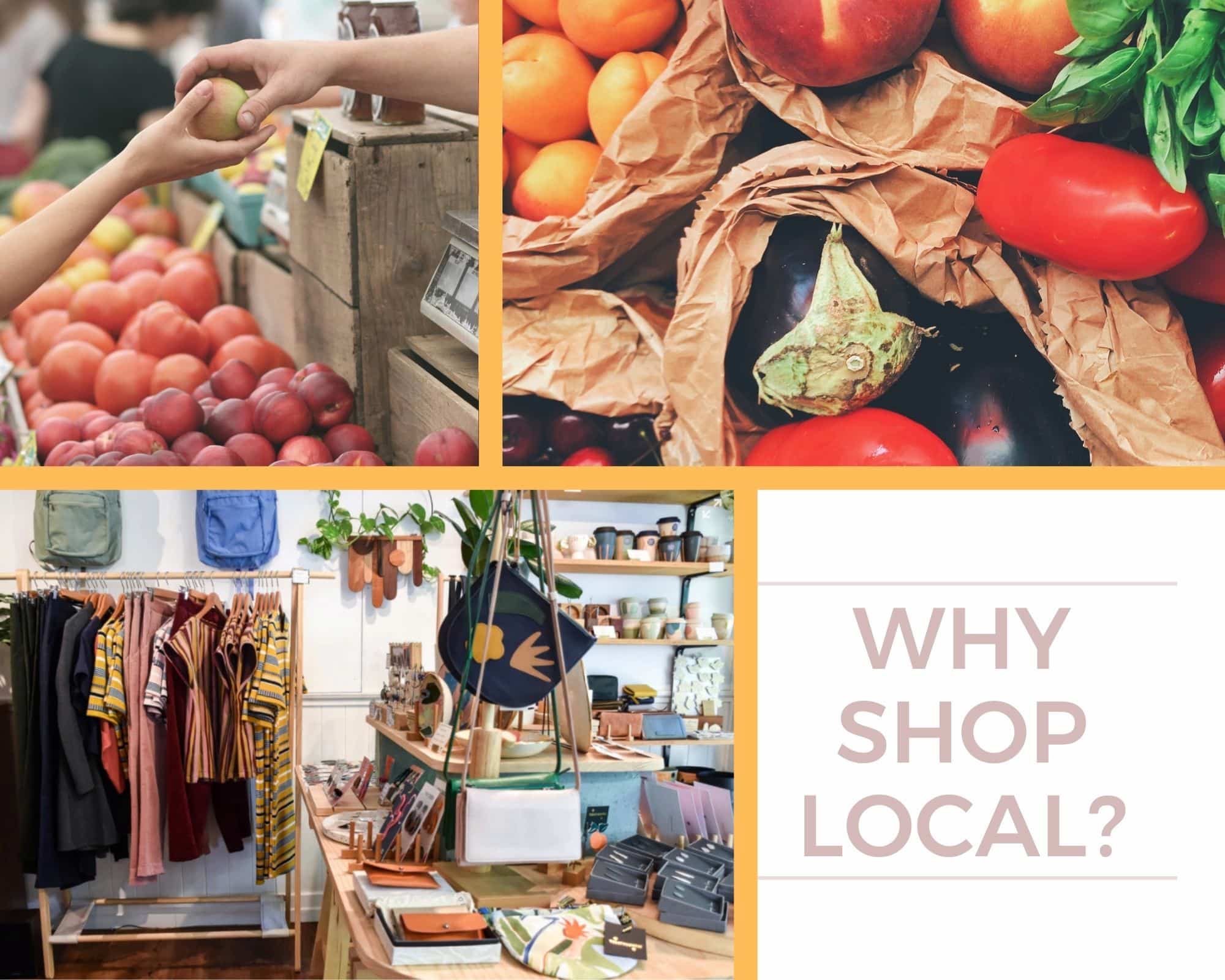 What Happens When You Shop Local? - Building Your Website - Strikingly