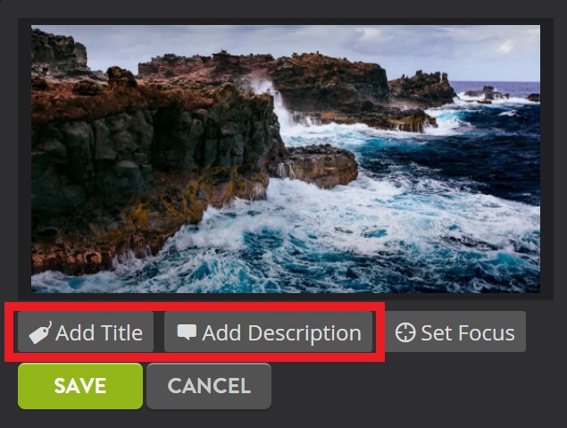 Making Your Alt Text Count: How to Write the Best Alt Tags - Building ...