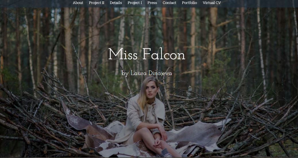 Model Portfolio: Top Things You Must Know About Modeling Portfolio ...