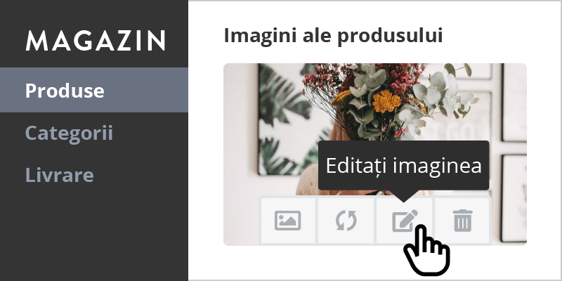 Editor de imagini pentru imagini ale produselor - Actualizări - Strikingly