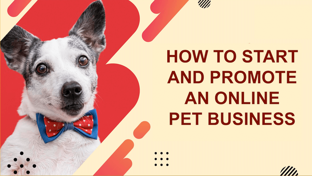 How To Generate The Business Name Ideas For Pet Business