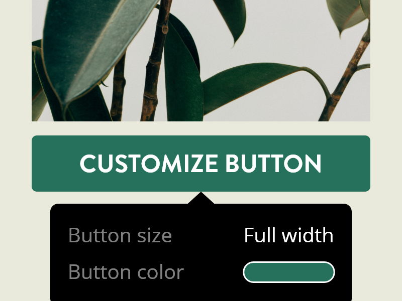 Style Options for Button - Updates - Strikingly