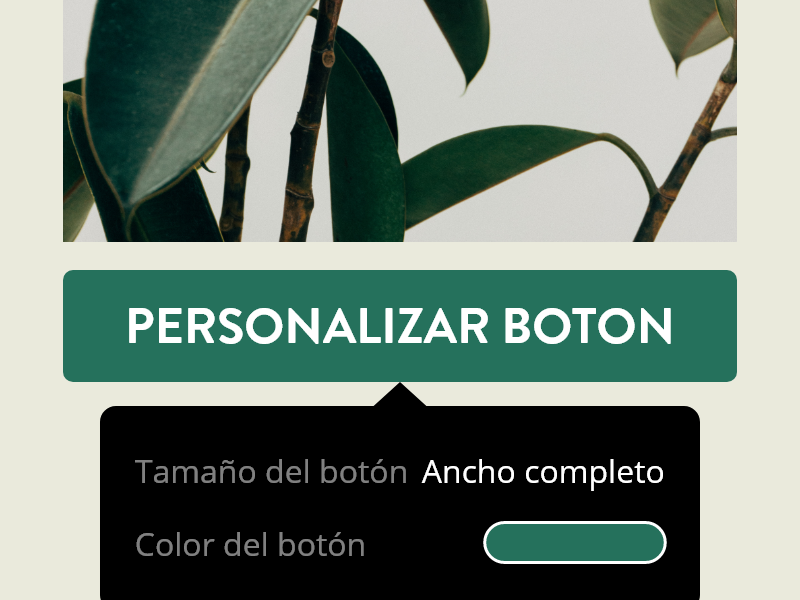 Opciones de Estilo para Botones - Actualizaciones - Strikingly