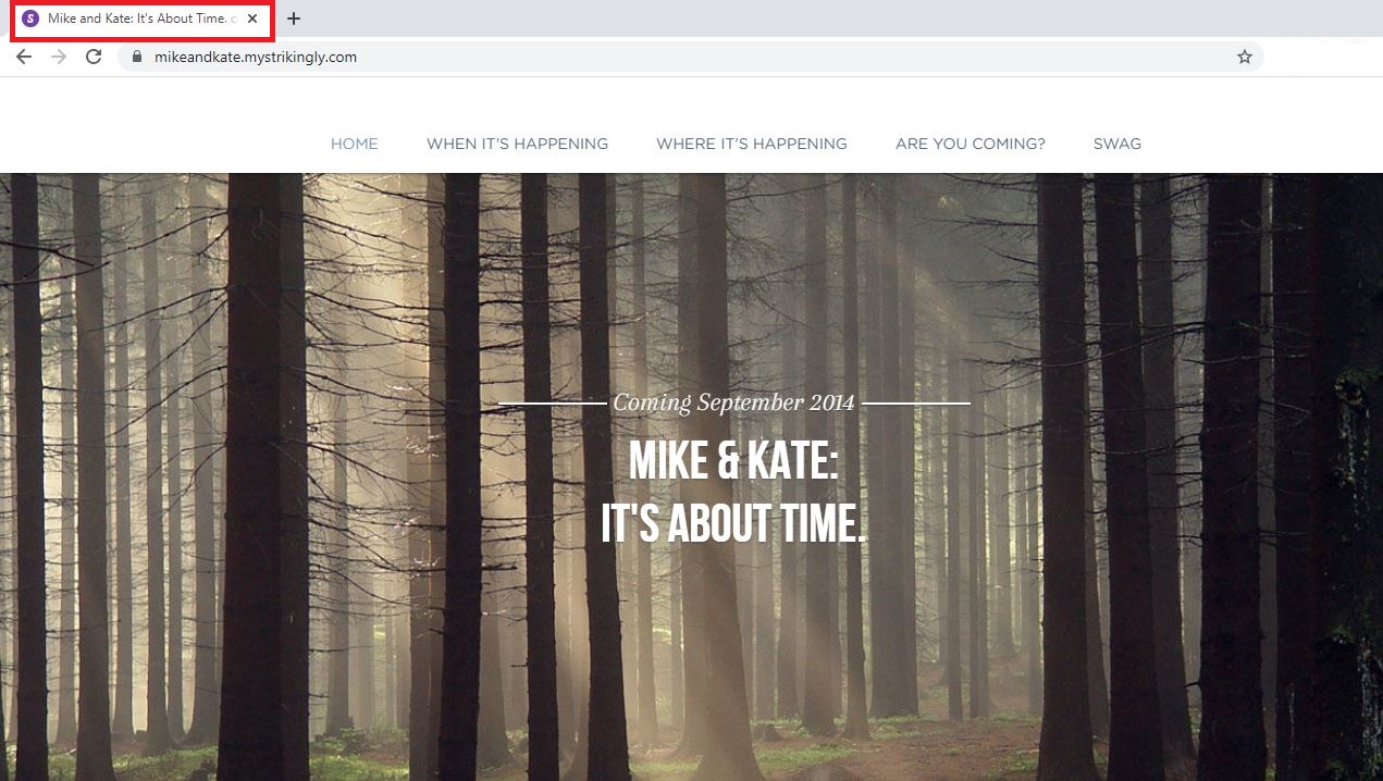 How Does a Website Title Help in SEO? - Building Your Website - Strikingly