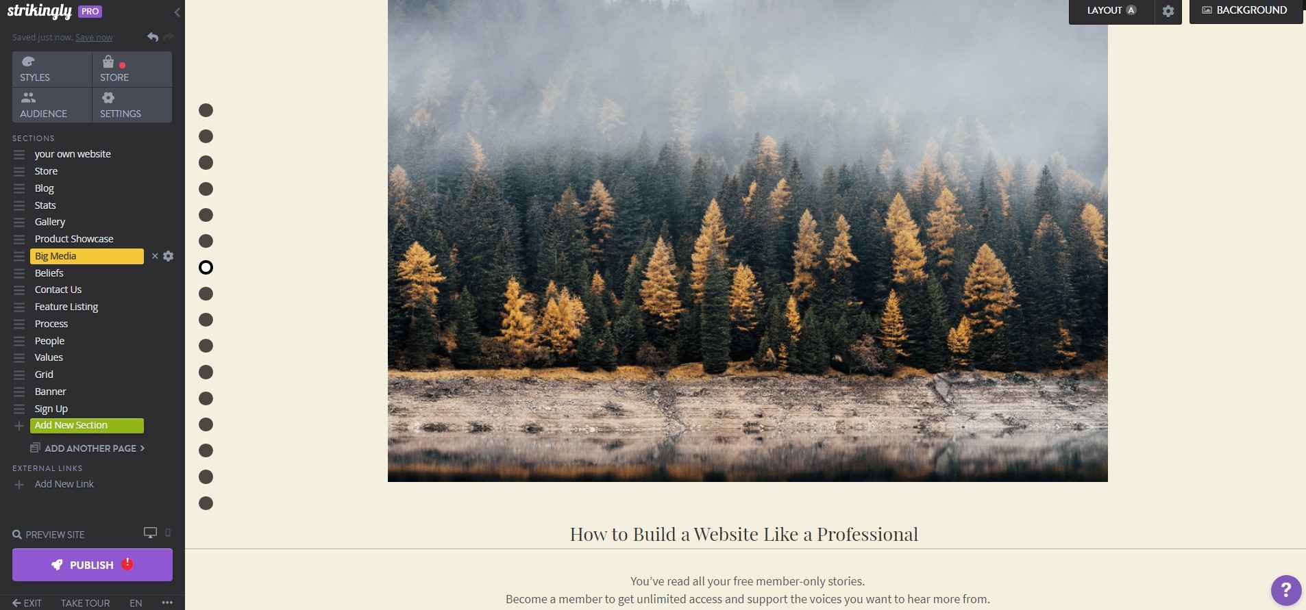The Importance of Good Website Images - Building Your Website - Strikingly