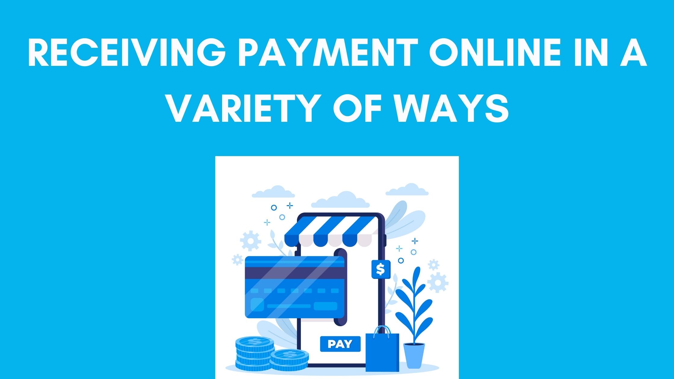 Receiving Payment Online in a variety of ways - Building Your Website ...