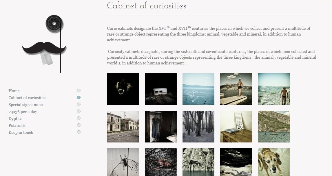 How to Begin Your Own 3D Photography Career? - Building Your Website ...