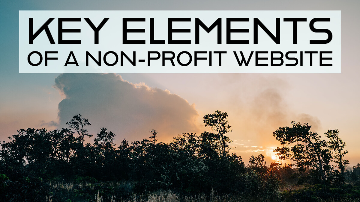 Key Elements of a Non-Profit Website - Building Your Website - Strikingly