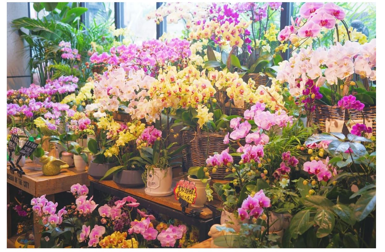 Consejos de expertos sobre cómo convertirte en florista - Crear Tu ...