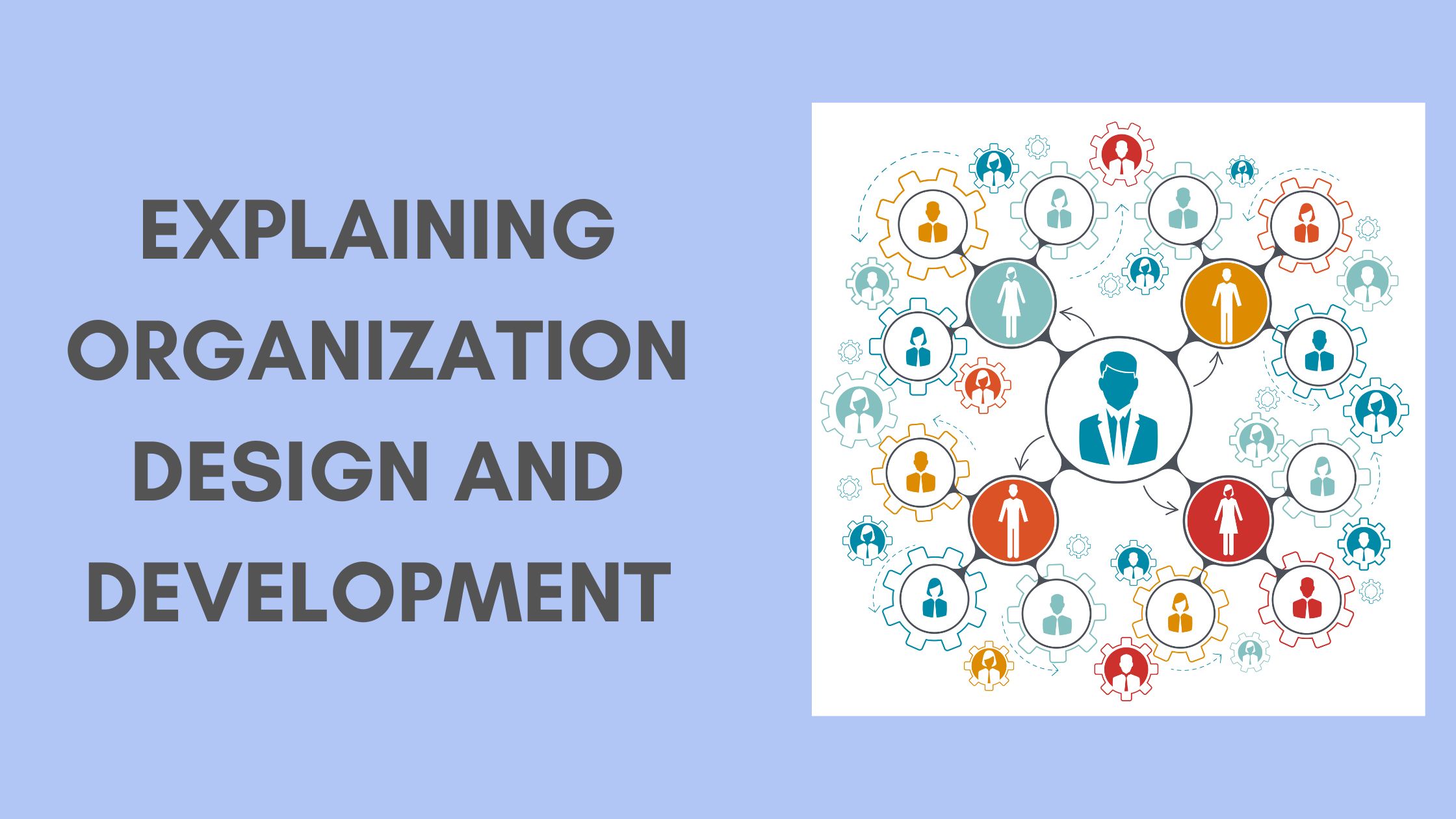 Explaining Organization Design and Development - Building Your Website ...