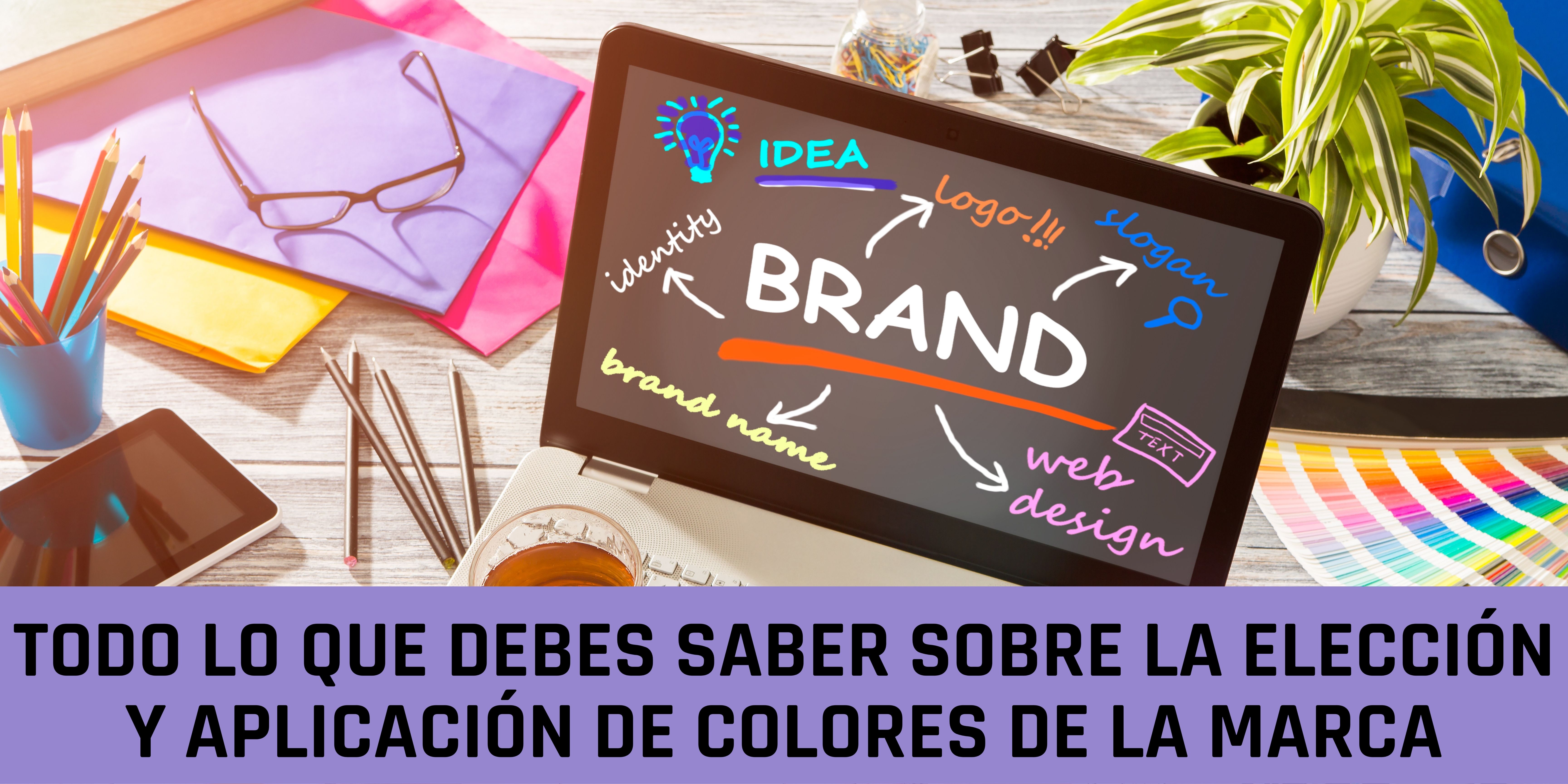 Todo lo que debes saber sobre la elección y aplicación de colores de la ...