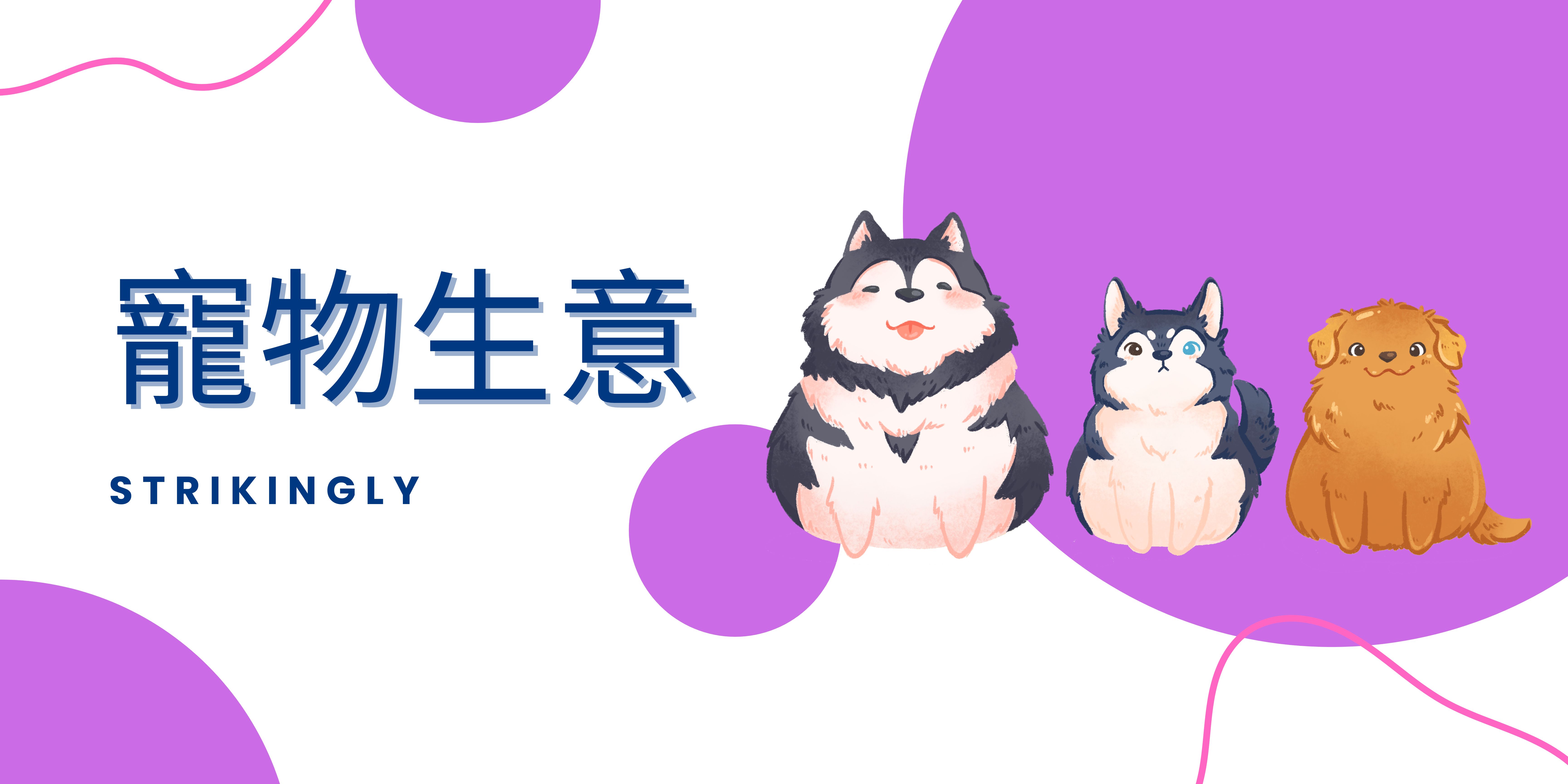 如何在線上開始你的寵物生意？ - 建立你的網站 - Strikingly