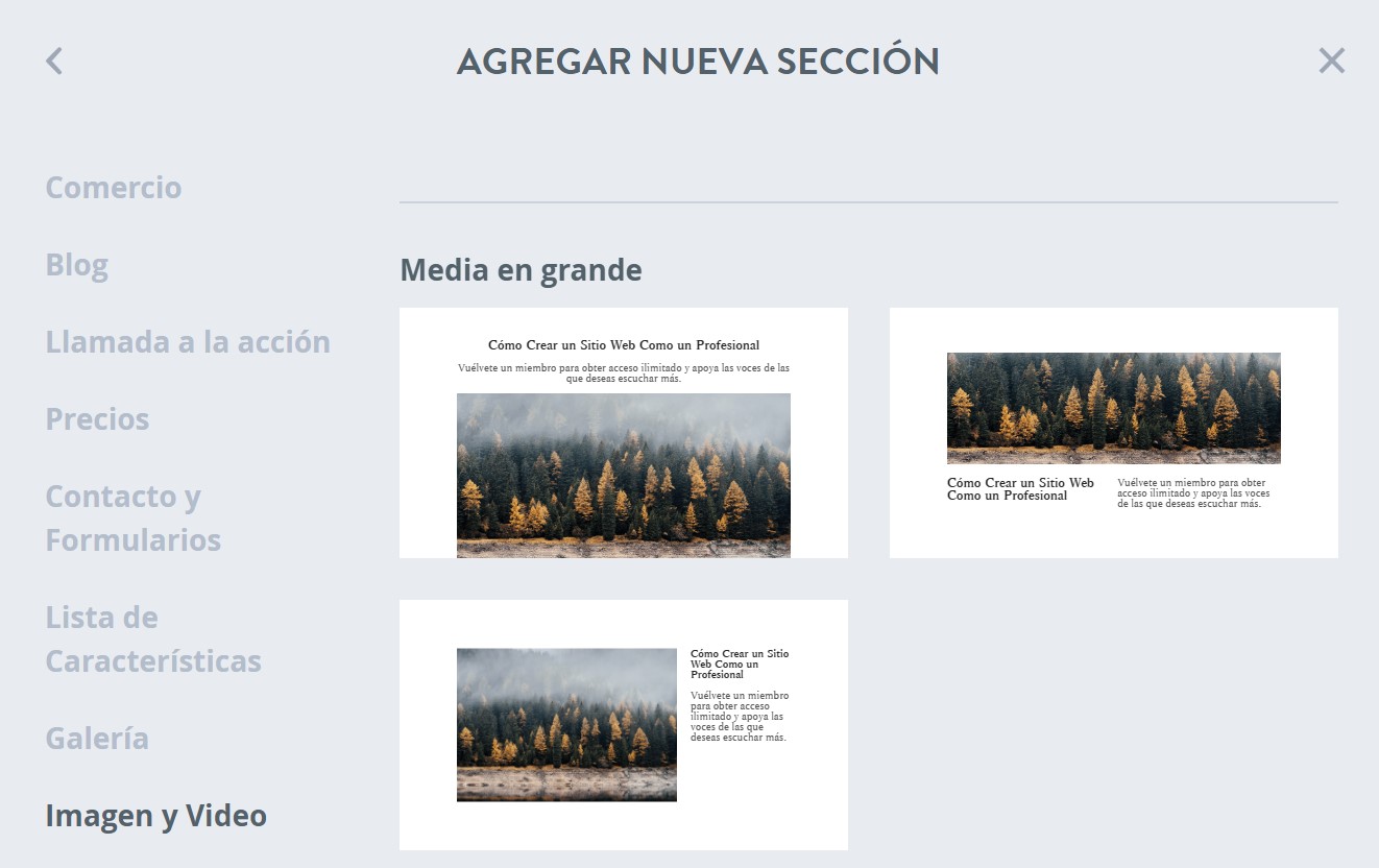 Ideas eficaces para comercializar tu negocio de fotografía - Crear Tu Sitio Web - Strikingly