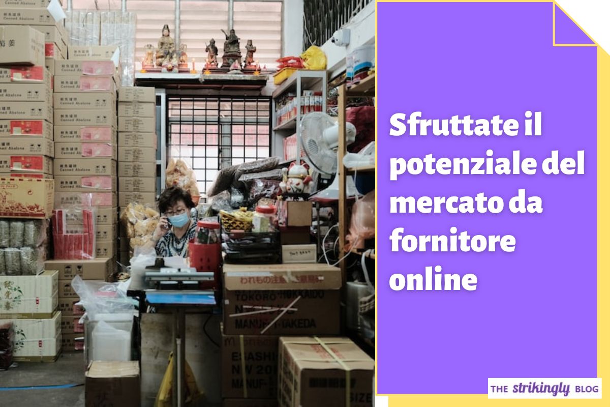 Sfruttate il potenziale del mercato da fornitore online - Creare il Tuo ...