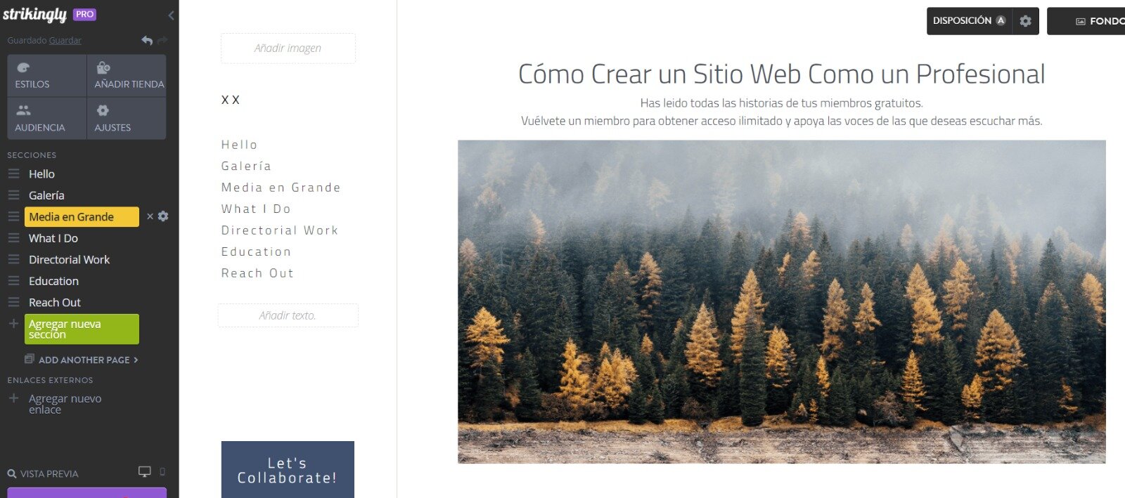 La importancia de unas buenas imágenes del sitio web - Crear Tu Sitio Web - Strikingly