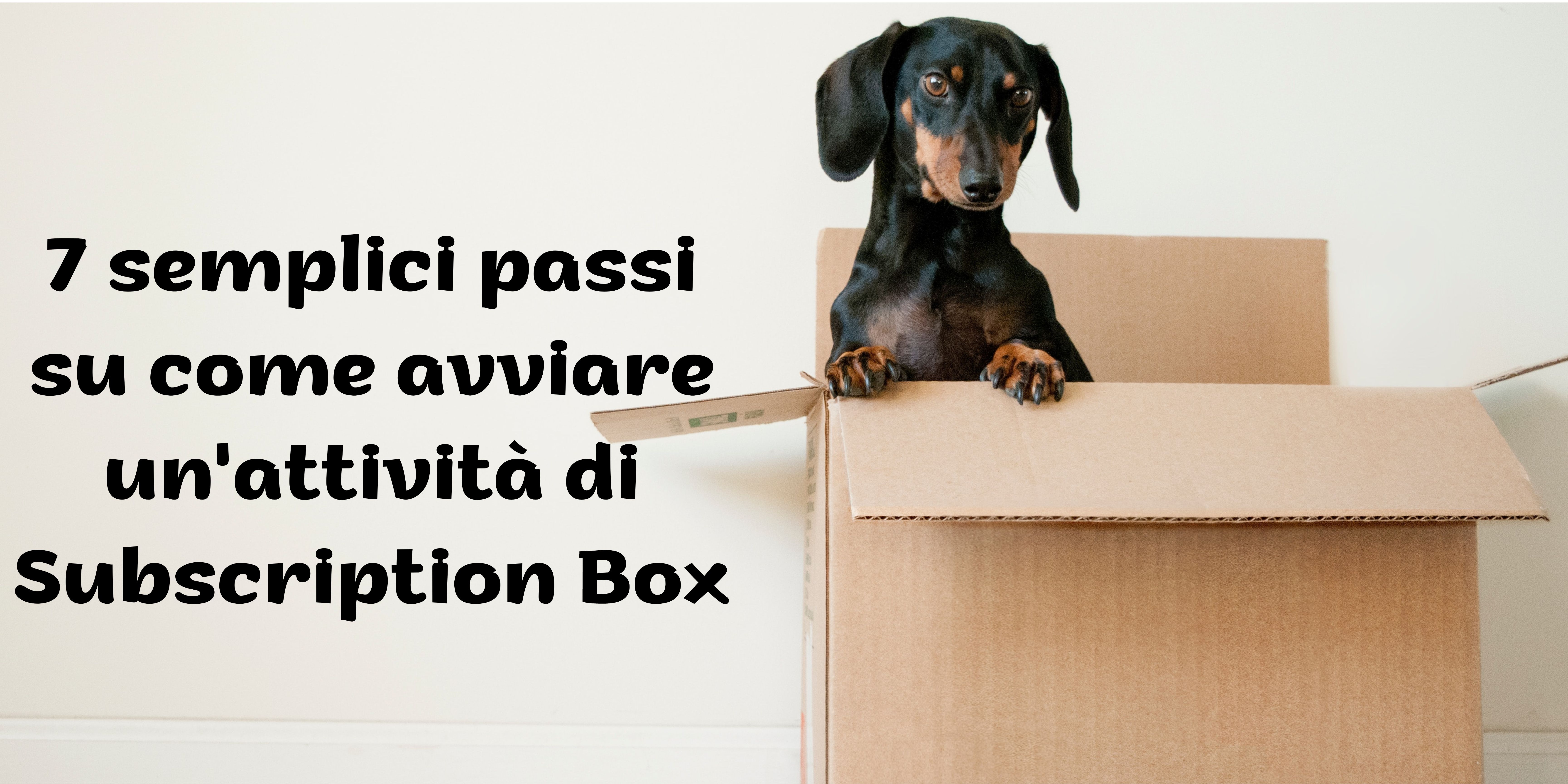 7 semplici passi su come avviare un'attività di Subscription Box ...