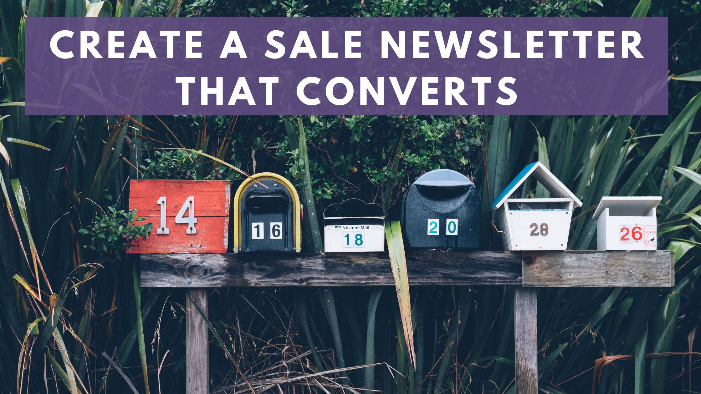 Create a Sale Newsletter That Converts - Building Your Website - Strikingly