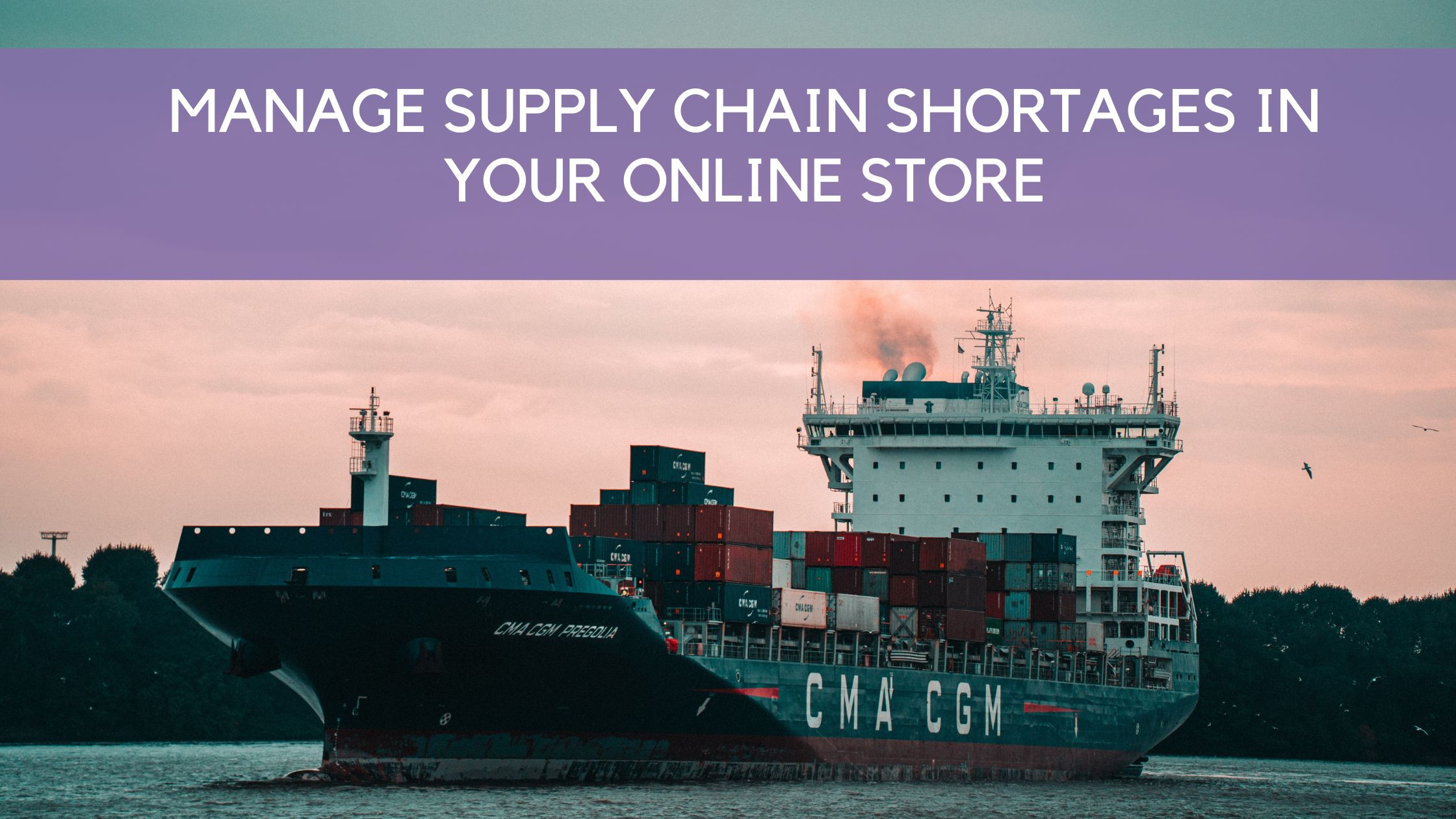 Manage Supply Chain Shortages in Your Online Store - Building Your ...