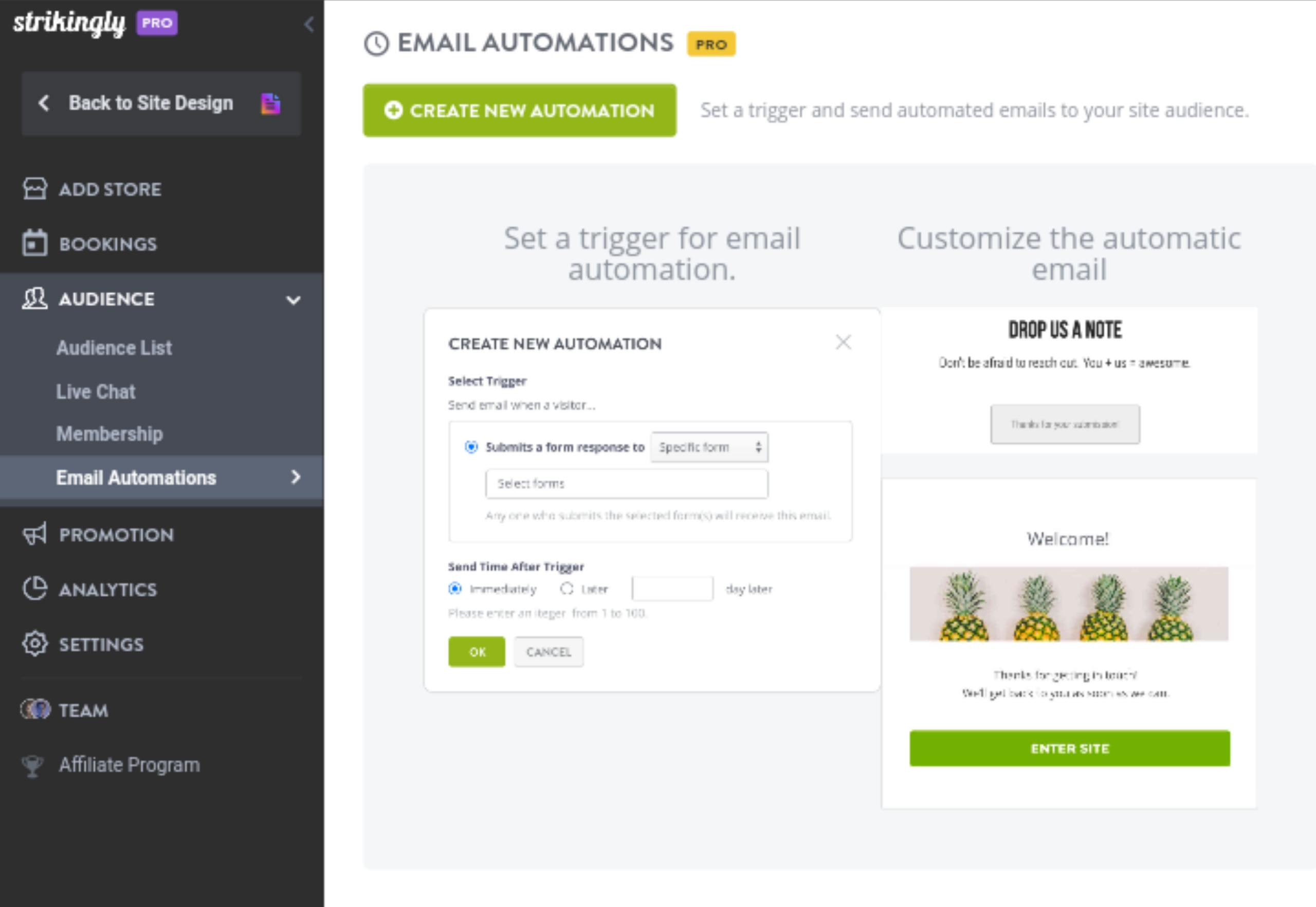 An Ultimate Guide to Email Autoresponder - Building Your Website ...