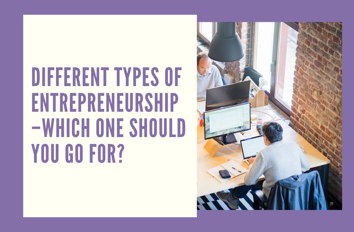 Different Types of Entrepreneurship–Which One Should You Go For ...
