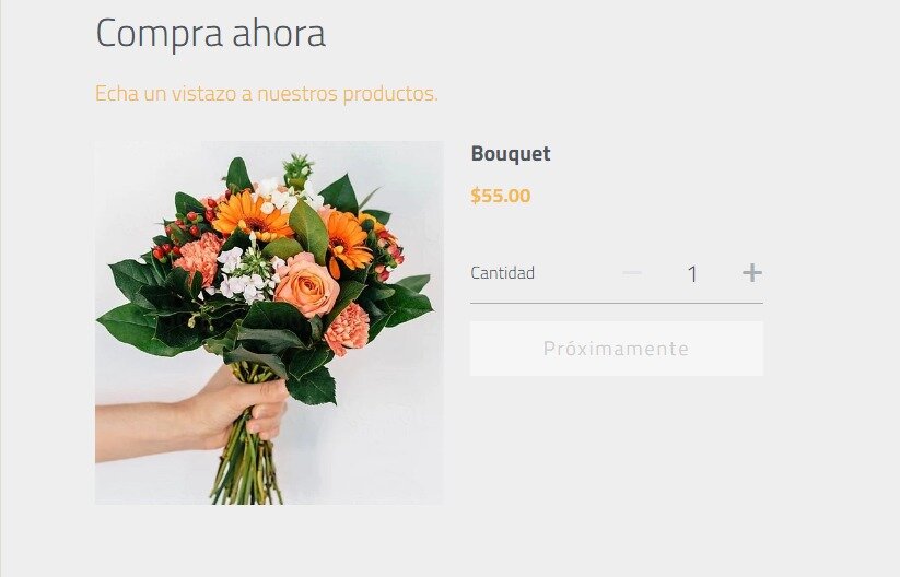 Marketing omnicanal: Significado e importancia - Crear Tu Sitio Web - Strikingly