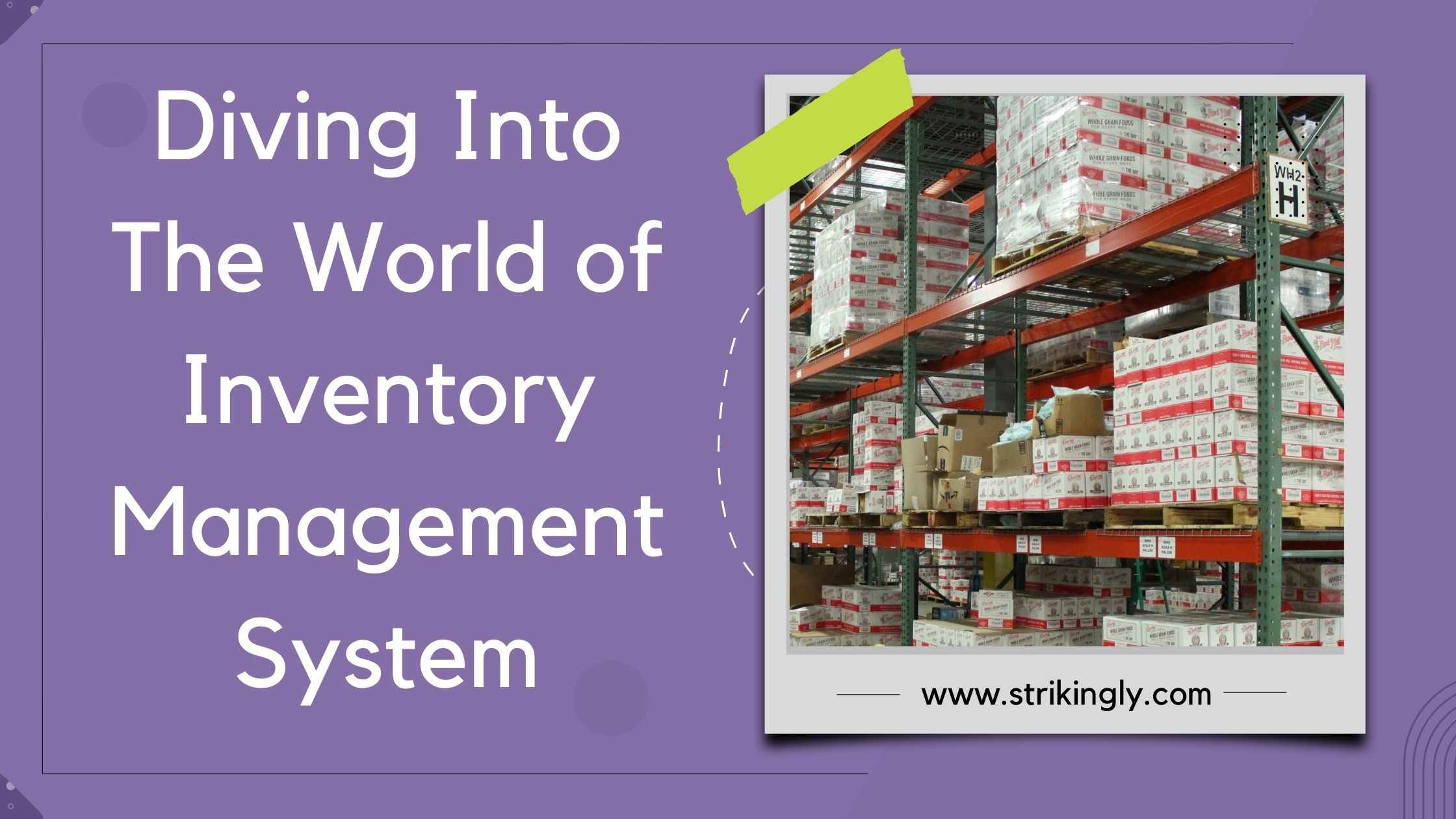 Diving Into The World of Inventory Management System - Building Your ...