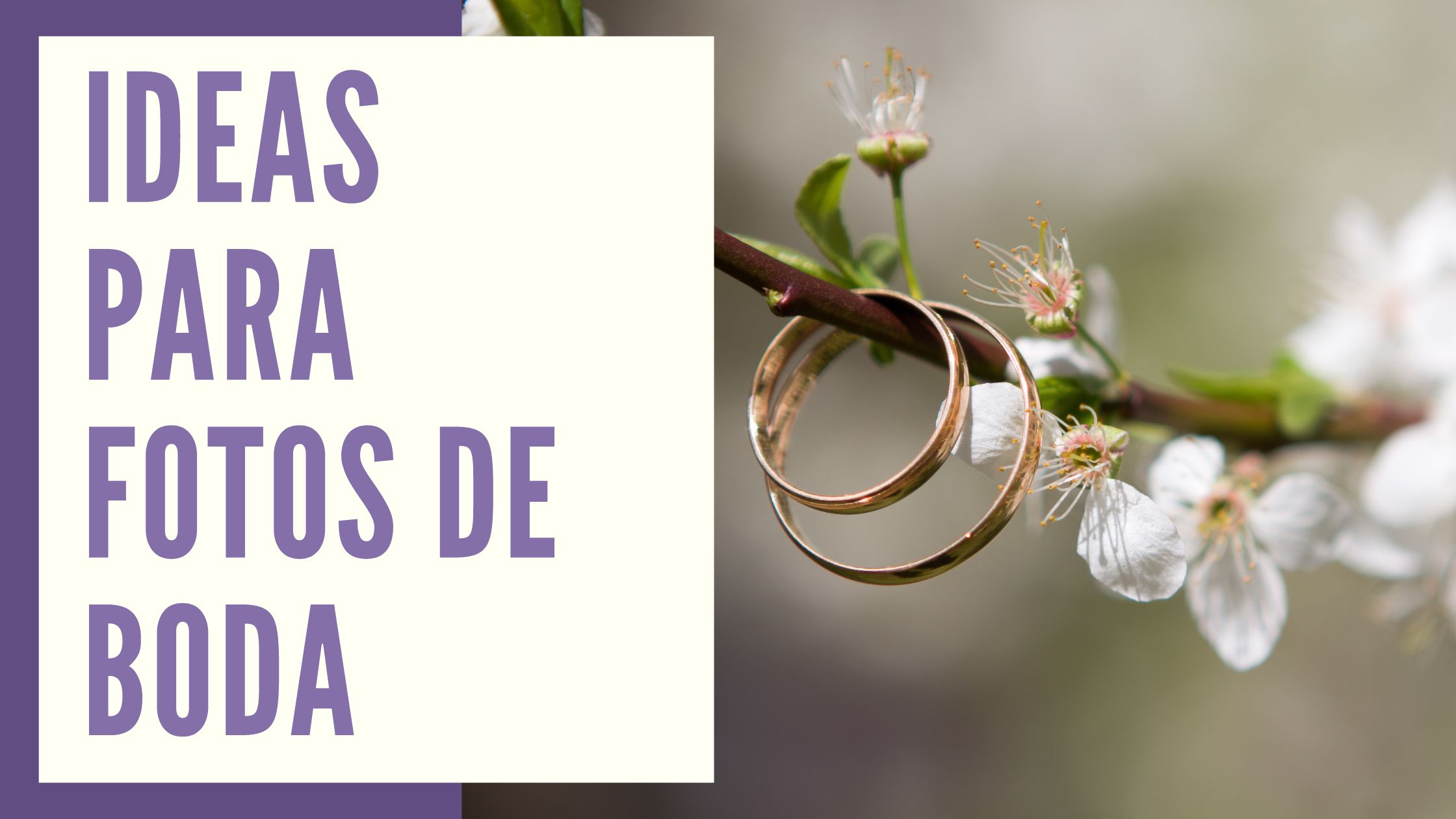 Ideas para fotos de boda que definitivamente tienes que capturar ...