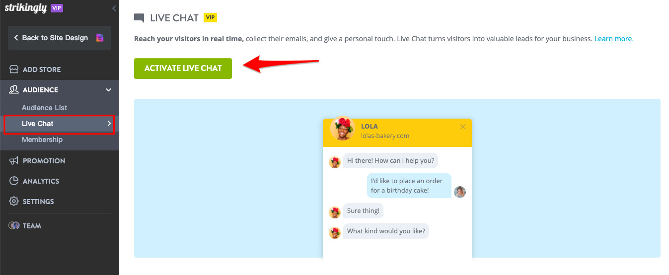 Creating Great Content: Vlogging Tips and Tricks for Beginners ...