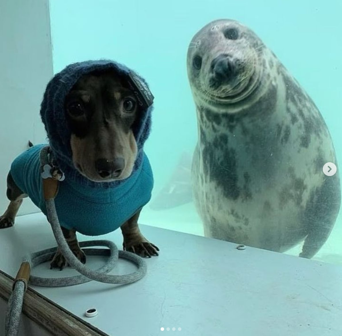 Create Engaging Social Media Content: Tips and Tricks - Building Your ...