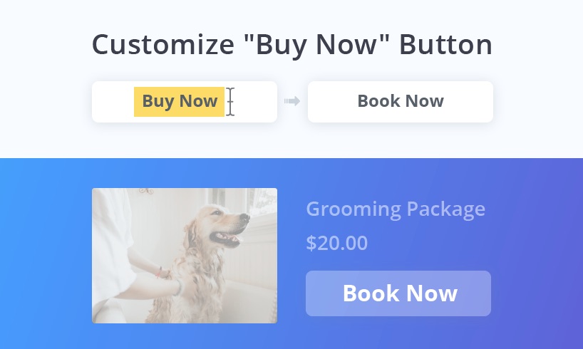 Buy Now Buttons vs. Add to Cart Buttons: Which Is More Effective for Your E-commerce Store ...