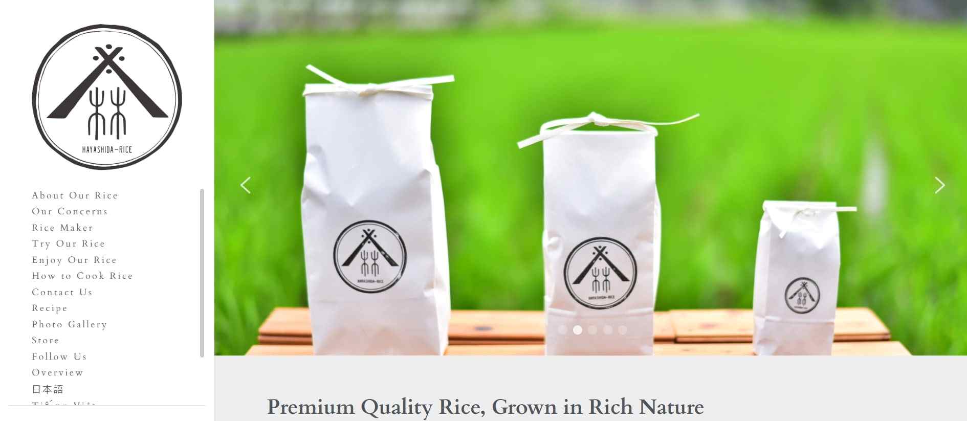 A Beginner's Guide to CRO: Tips and Strategies for Success - Building ...