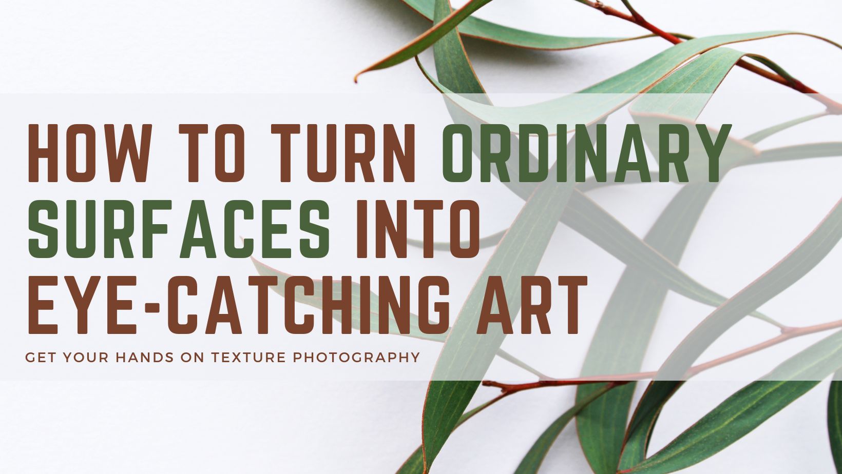 Get Your Hands on Texture Photography: How to Turn Ordinary Surfaces ...
