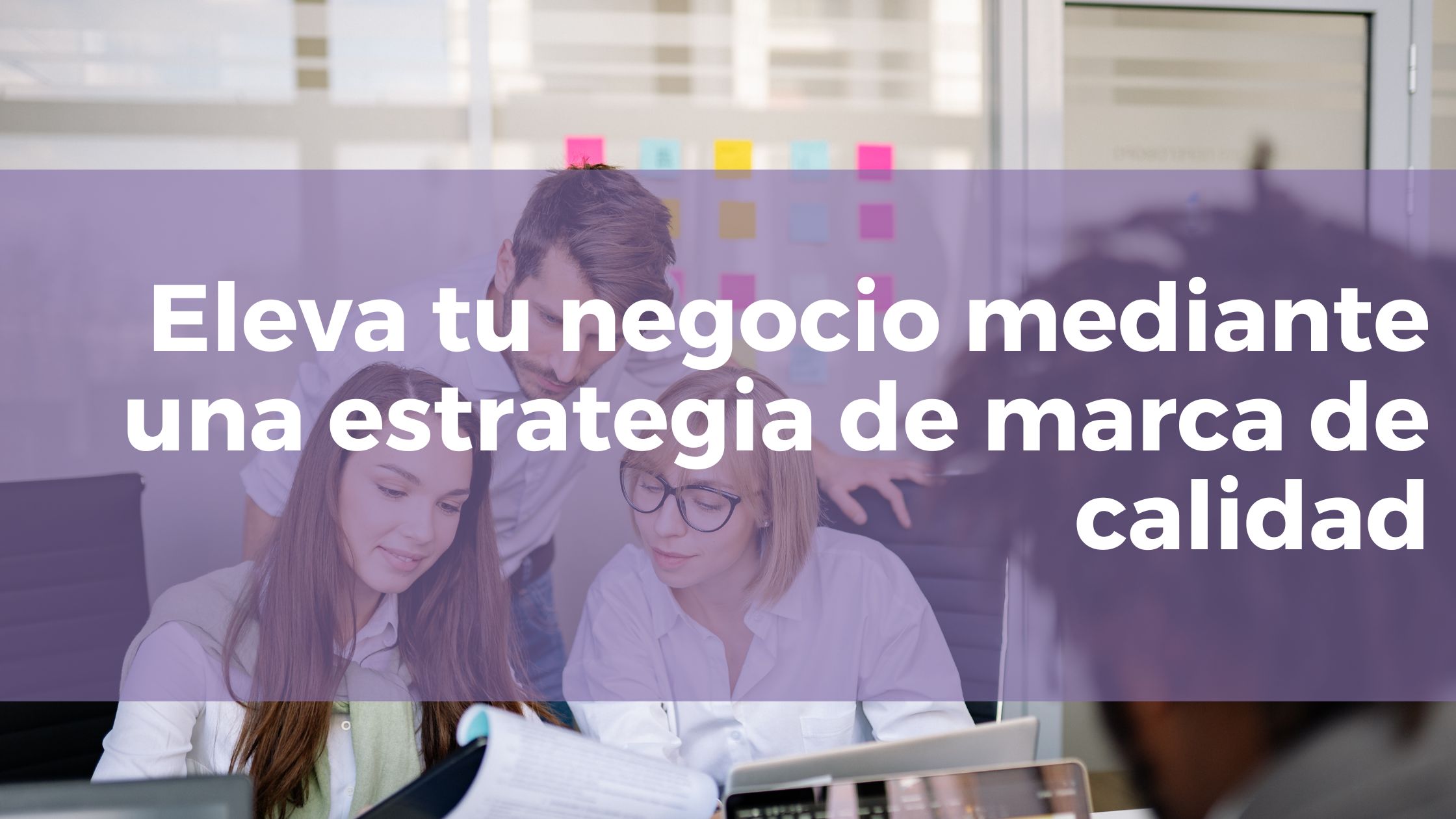 Eleva tu negocio mediante una estrategia de marca de calidad - Crear Tu Sitio Web - Strikingly