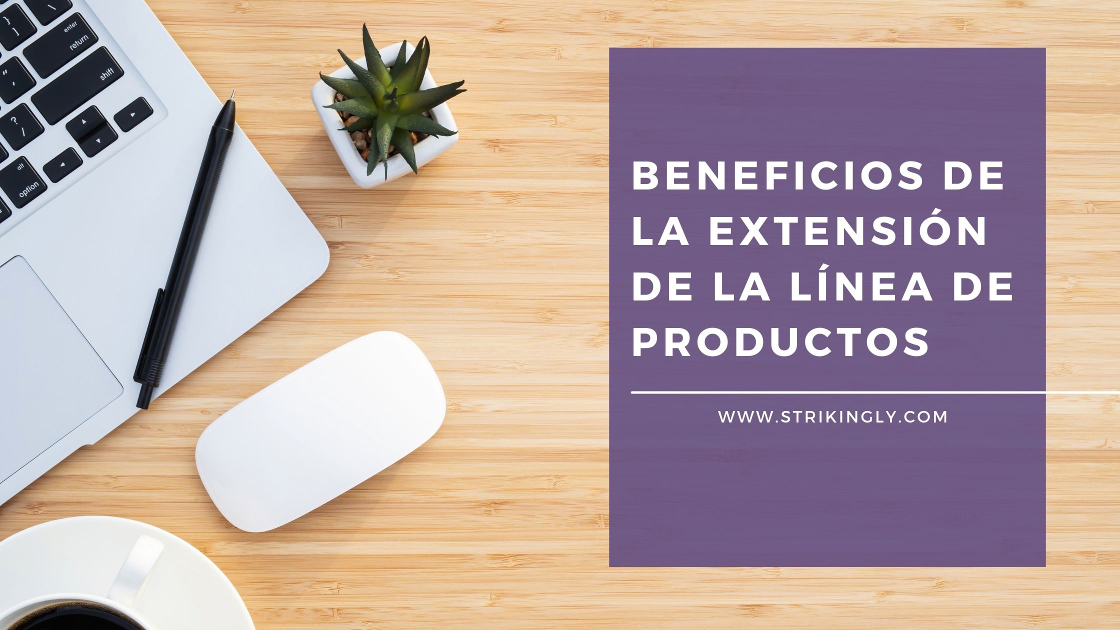 Beneficios de la extensión de la línea de productos - Crear Tu Sitio ...