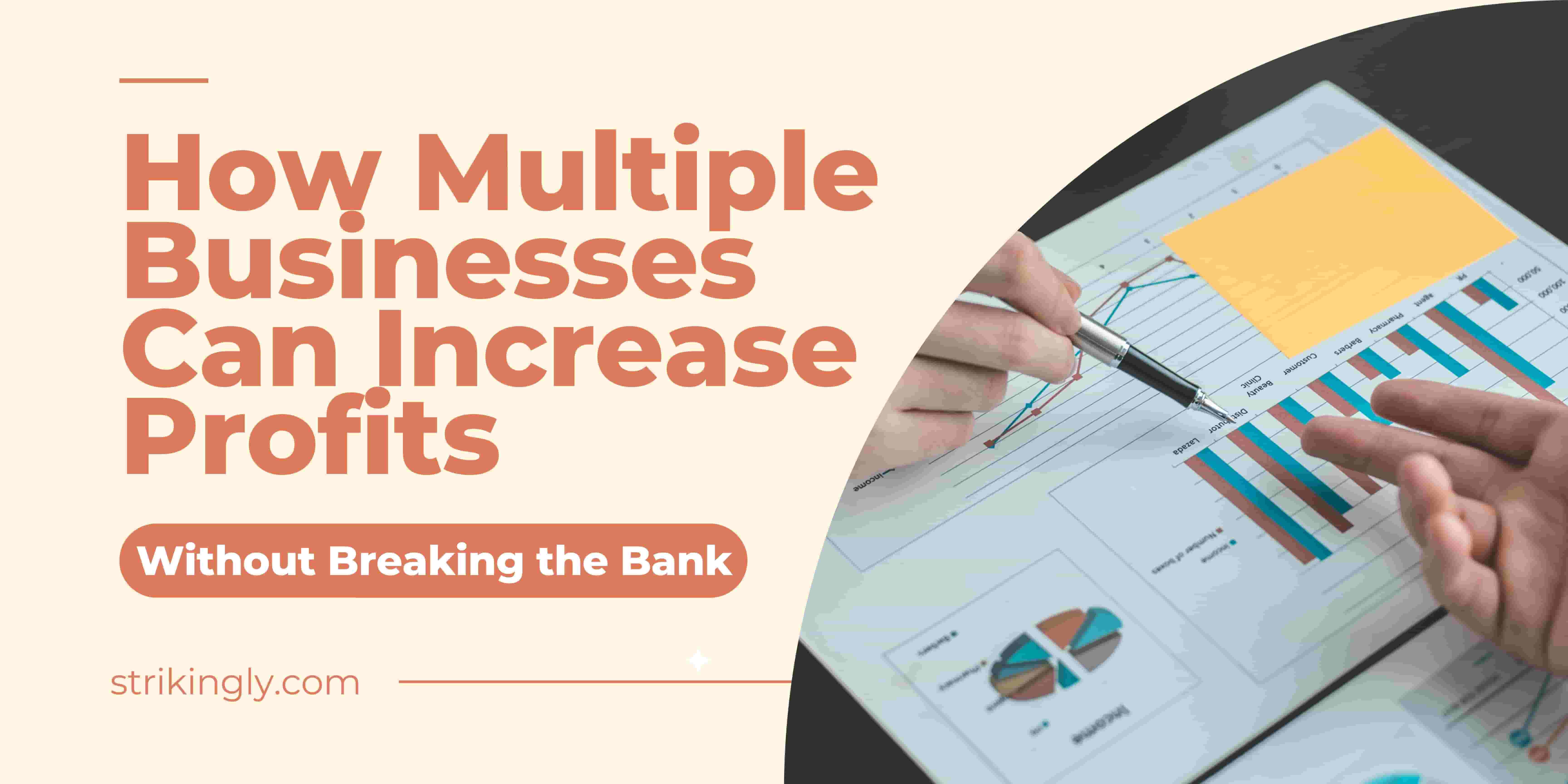 How Multiple Businesses Can Increase Profits Without Breaking the Bank ...