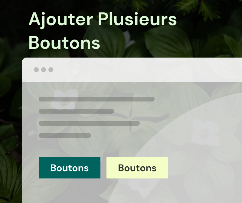 Ajouter plusieurs boutons - Mises à jour - Strikingly