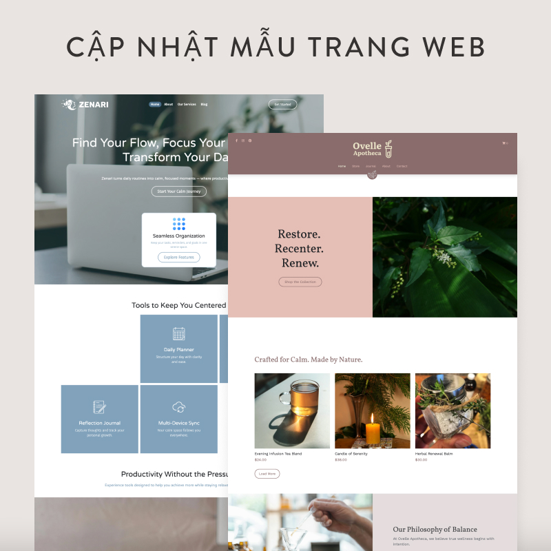 Cập nhật mẫu trang web - Cập nhật - Strikingly