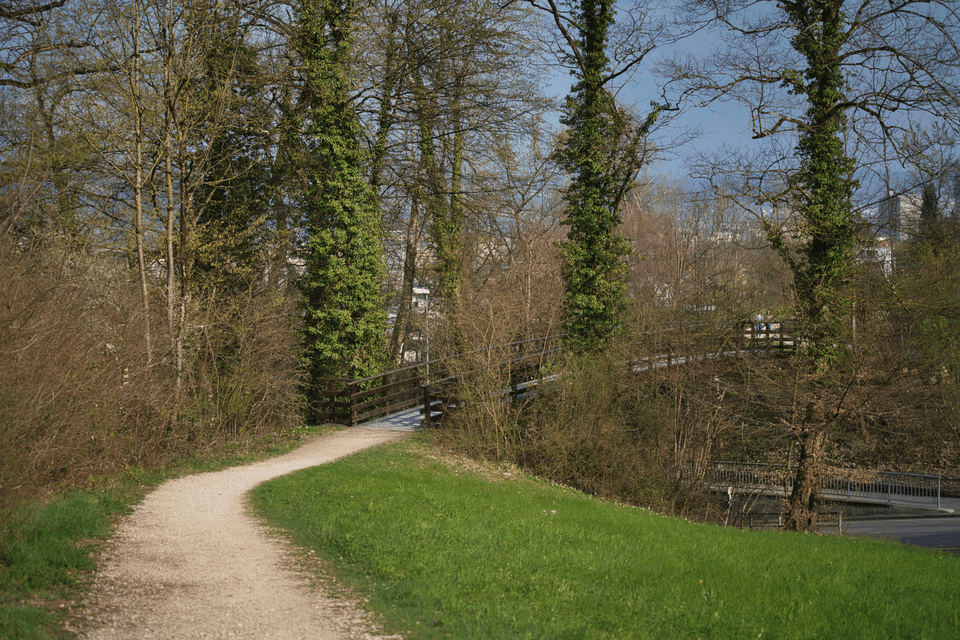 Designing a Nature Trail - Future Plans