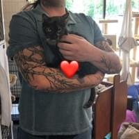 St. Francis Animal Sanctuary