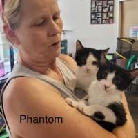 St. Francis Animal Sanctuary